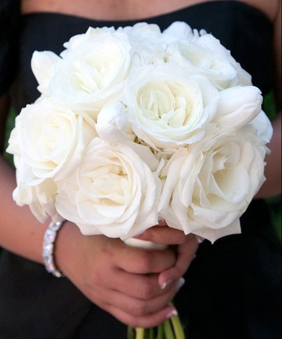 Selain Penuh Cinta, Ini Makna Bunga Mawar Putih Sebagai Hadiah